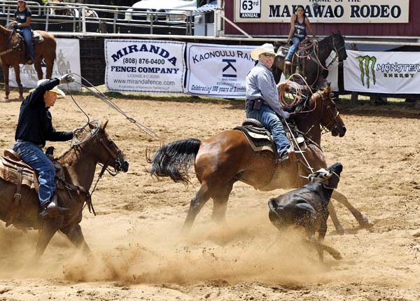 Action begins at Makawao Rodeo | News, Sports, Jobs - Maui News